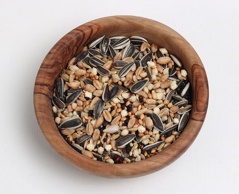 Goldfinch Purple Finch Pine Siskin Specialty Bird Food Finch & Friends ...